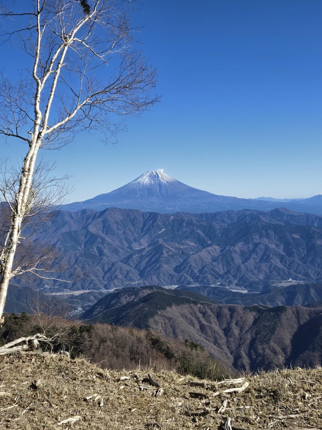 七面山 / nabe(^o^)vさんの七面山・身延山の活動データ | YAMAP / ヤマップ