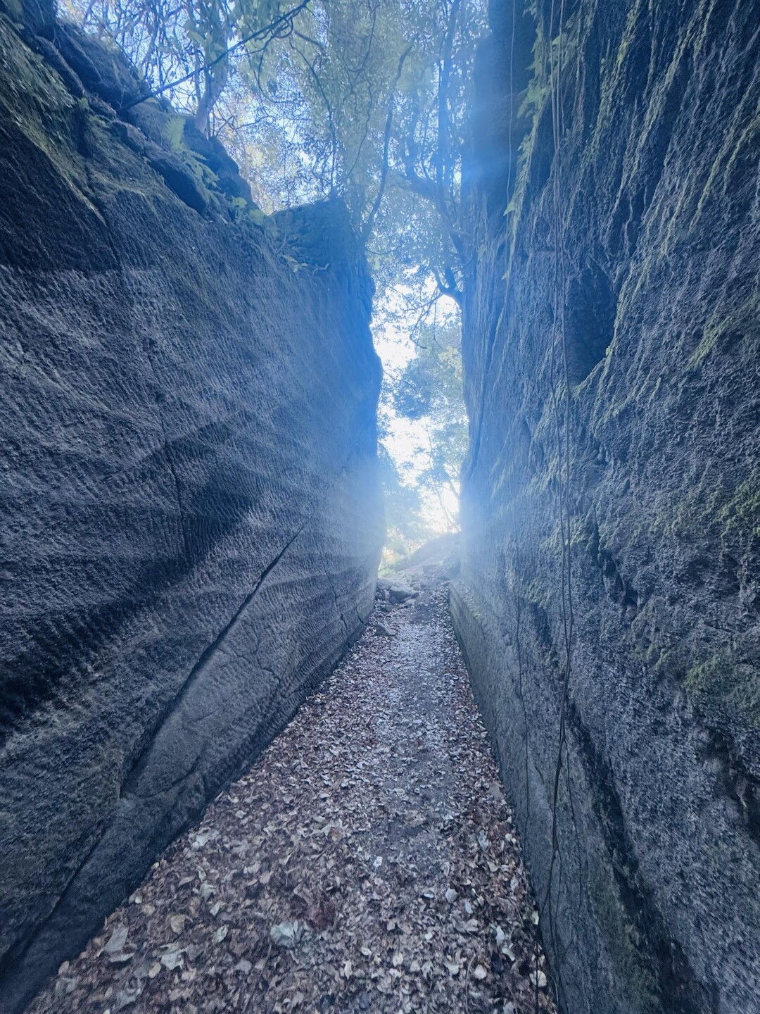 鋸山 / ayakaさんの鋸山の活動データ | YAMAP / ヤマップ