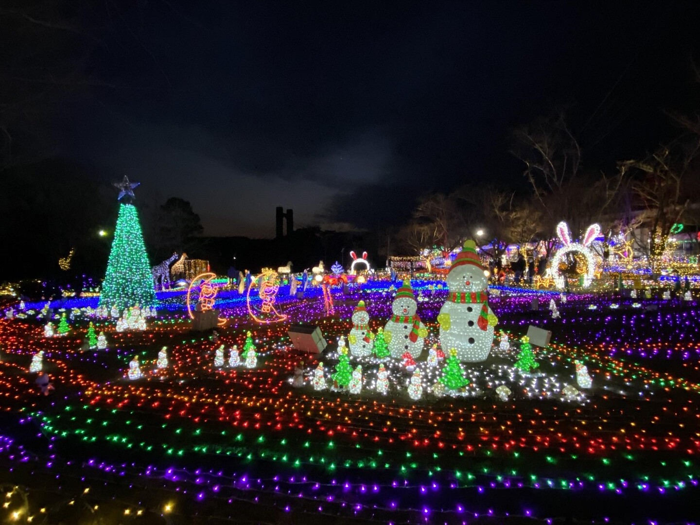 やっと行けた！ 曽木の滝公園のイルミネ... / AZUMBOさんのモーメント | YAMAP / ヤマップ