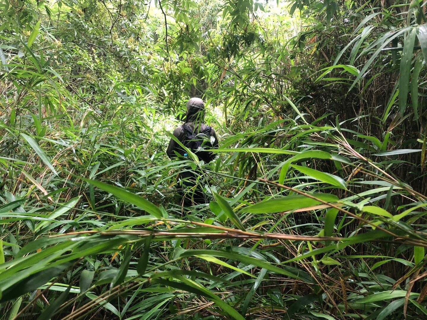 王越山 / muddy329さんの登山の活動データ | YAMAP / ヤマップ