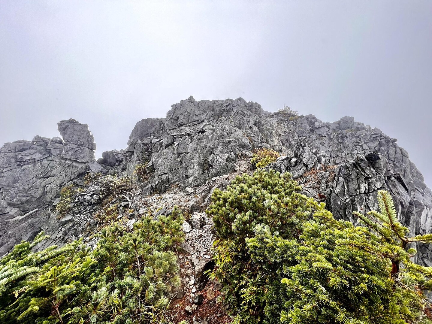 南アルプス最南端 光岳 / nami さんの聖岳・大沢岳・光岳の活動データ | YAMAP / ヤマップ