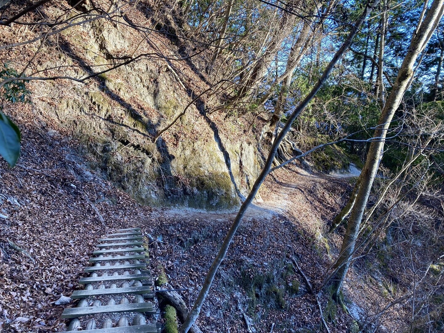 畦ヶ丸 / Ok-836さんの大室山・畦ヶ丸山・菰釣山の活動データ | YAMAP / ヤマップ