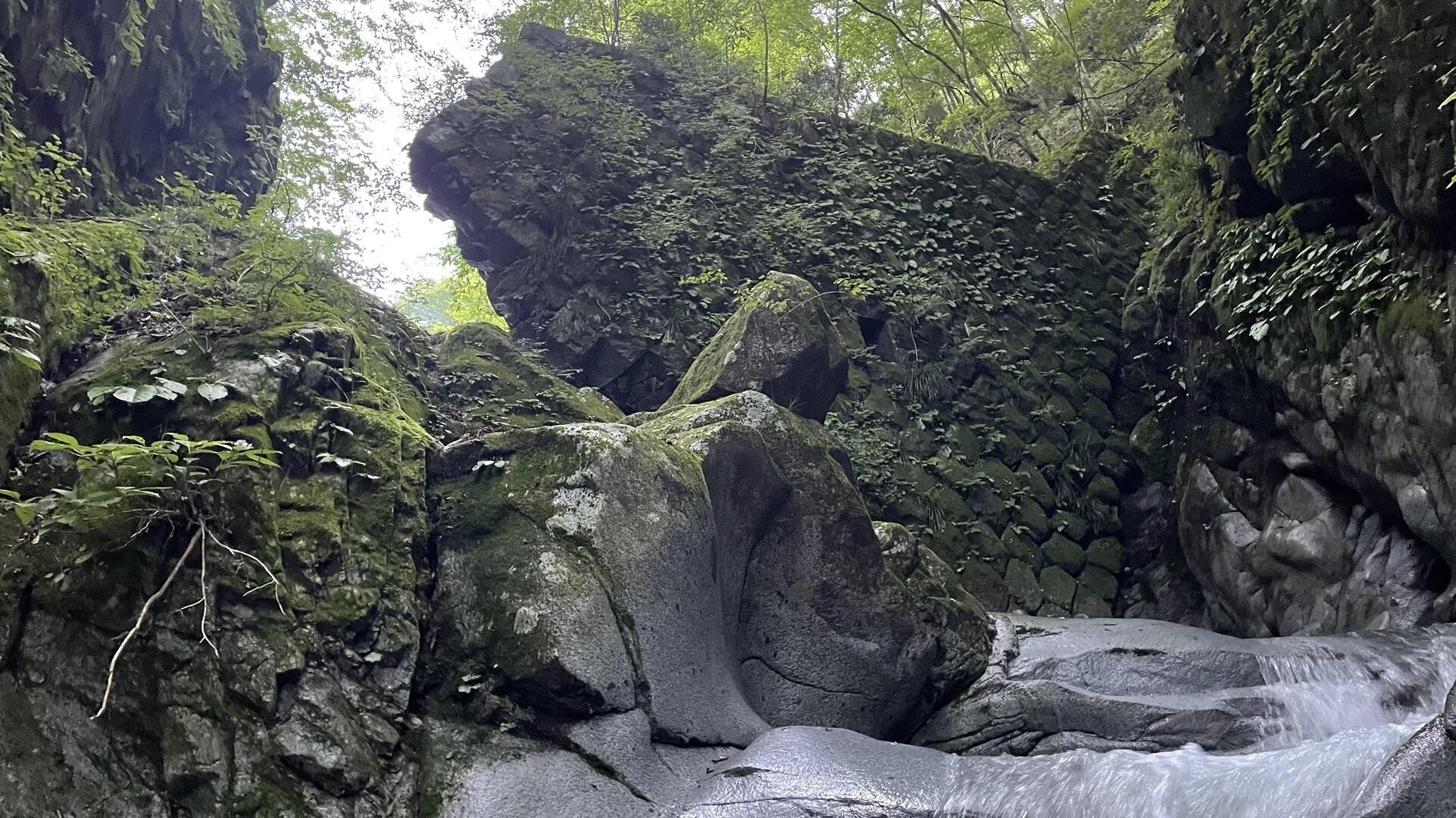 小川谷廊下遡行 / nkakさんの塔ノ岳・丹沢山・蛭ヶ岳の活動データ | YAMAP / ヤマップ