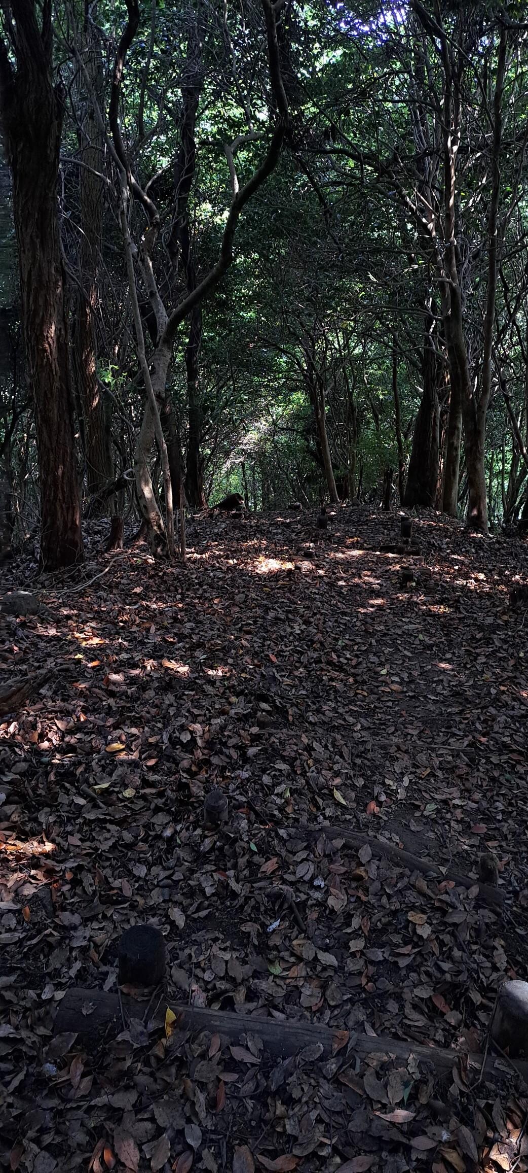 kame11さんの投稿したフィールドメモ | YAMAP / ヤマップ