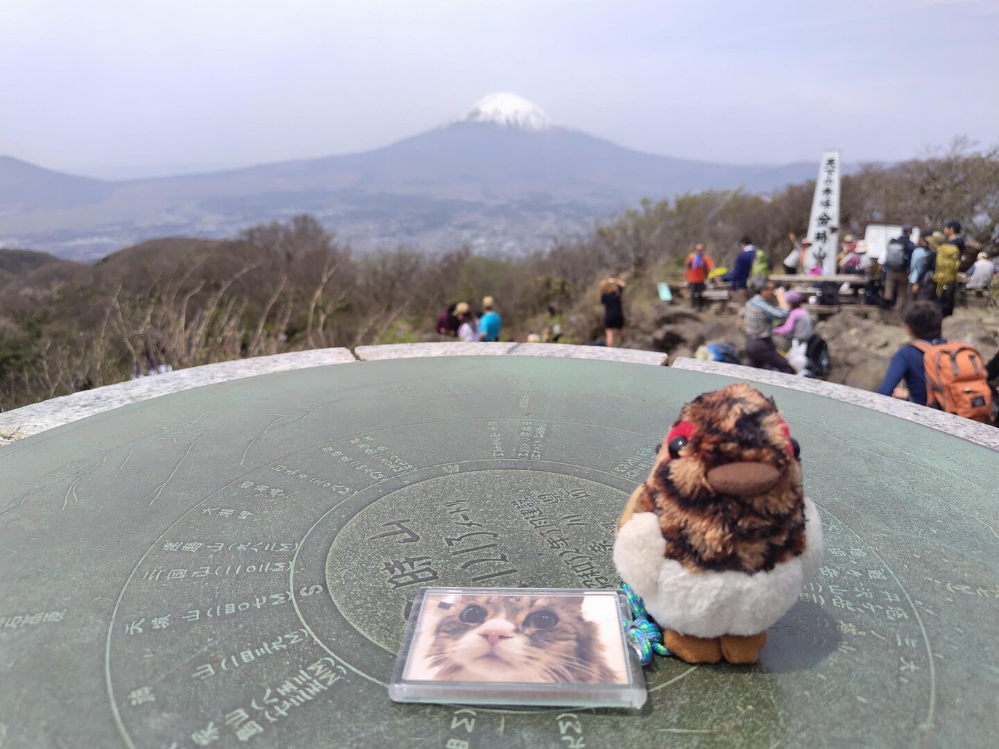 金時山 / muff さんの金時山・明神ヶ岳の活動データ | YAMAP / ヤマップ