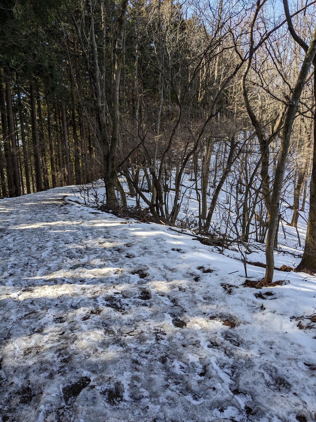 高尾山・城山（小仏城山）・景信山・堂所山・赤岩山・富士小屋山・南郷山・陣馬山・神変山 / dadadadさんの高尾山・陣馬山・景信山の活動データ | YAMAP / ヤマップ