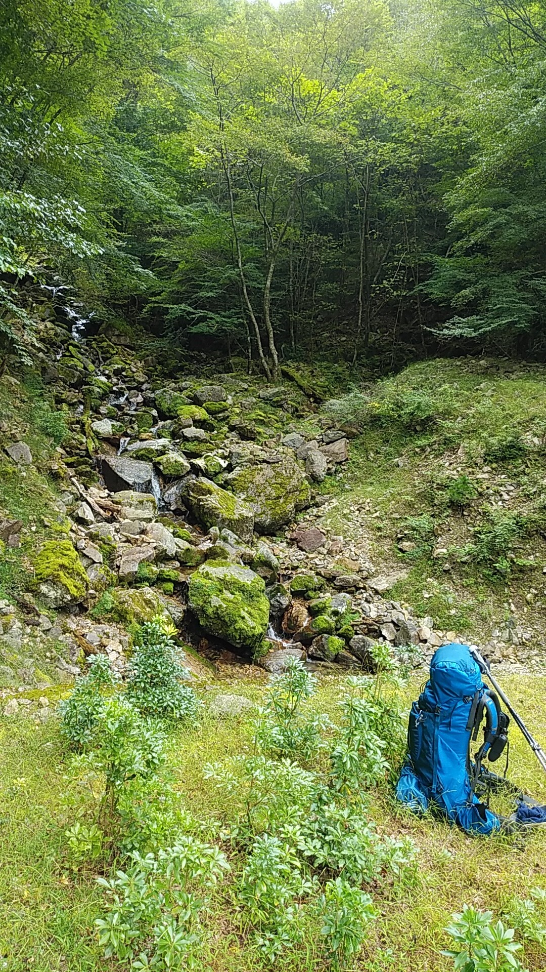 Toshio さんの投稿したフィールドメモ | YAMAP / ヤマップ