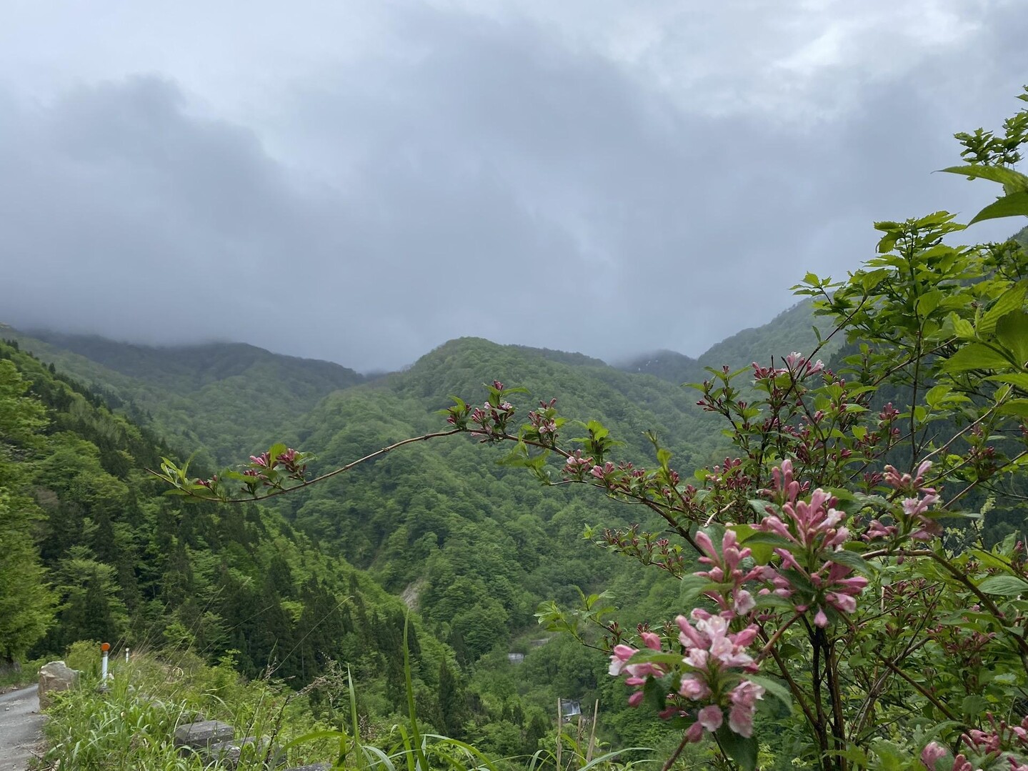 白木峰 / yakataさんの白木峰・小白木峰の活動データ | YAMAP / ヤマップ