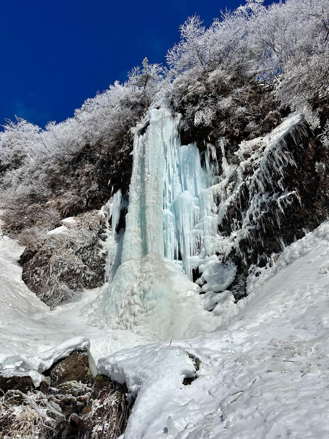 仙人沢（IC編） / ないんちょさんの蔵王山・雁戸山・不忘山の活動データ | YAMAP / ヤマップ