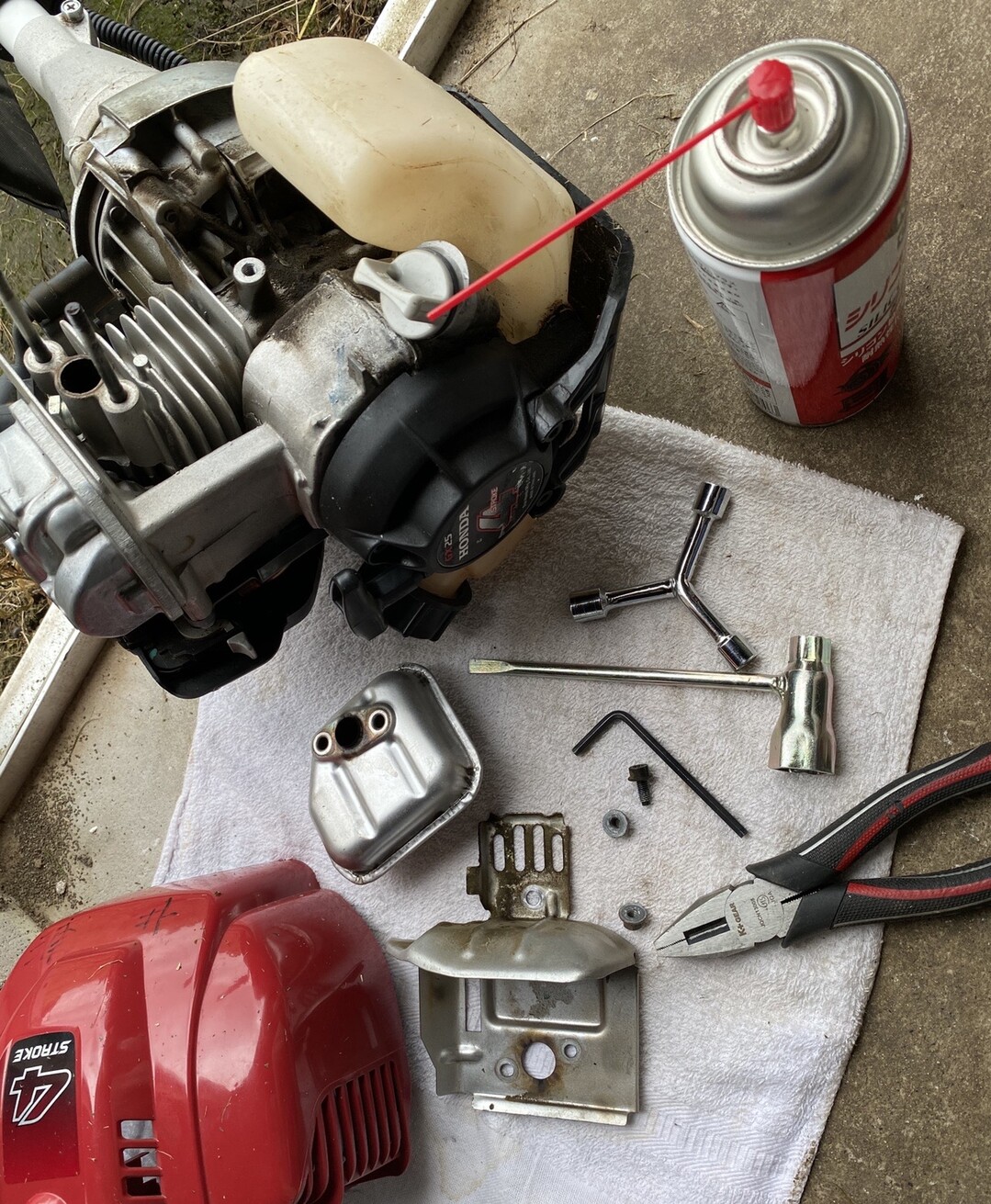 南砺市 安居山遊歩道の草刈り-2020-07-30 / taakoさんのウォーキングの活動データ | YAMAP / ヤマップ