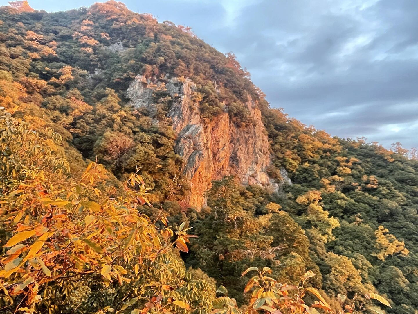 【朝トレ】金華山 東坂ハイキングコース / tymr_phさんの登山の活動データ | YAMAP / ヤマップ