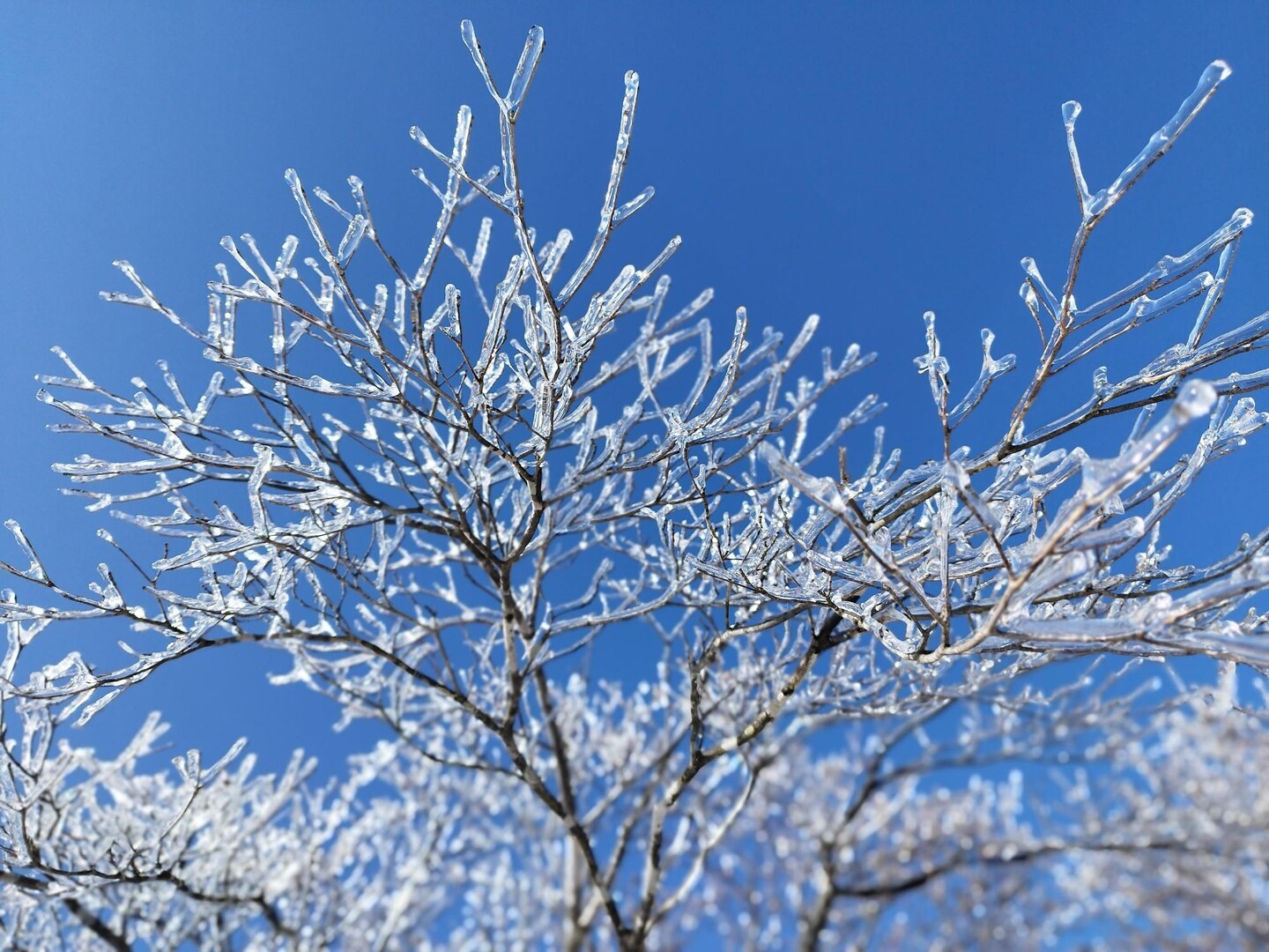 💠 Crystal world 💠 / manta🍀さんの貝月山の活動データ | YAMAP / ヤマップ