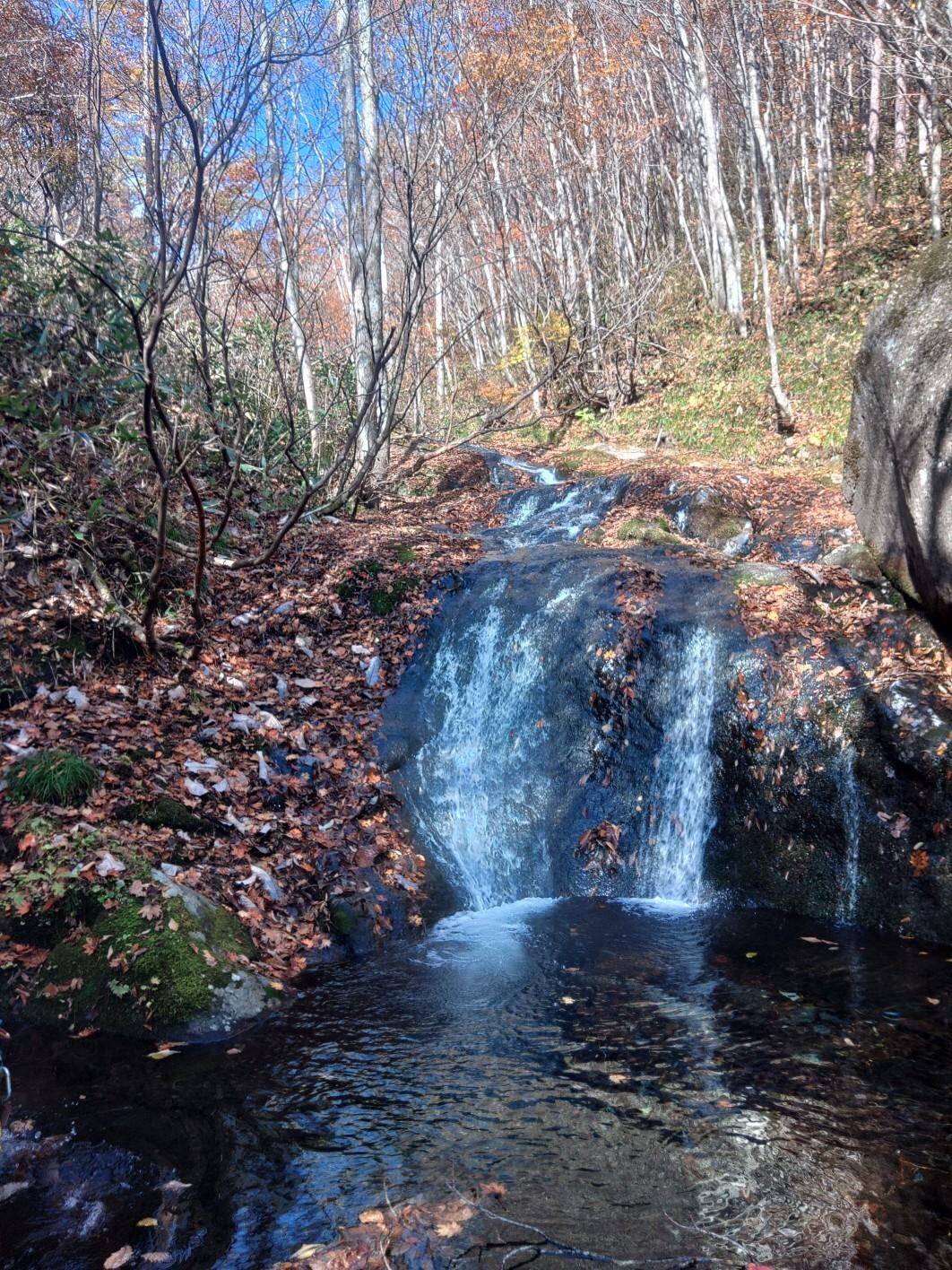今年2回目の沢遊び。 / kazu66さんの蔵王山・雁戸山・不忘山の活動日記 | YAMAP / ヤマップ
