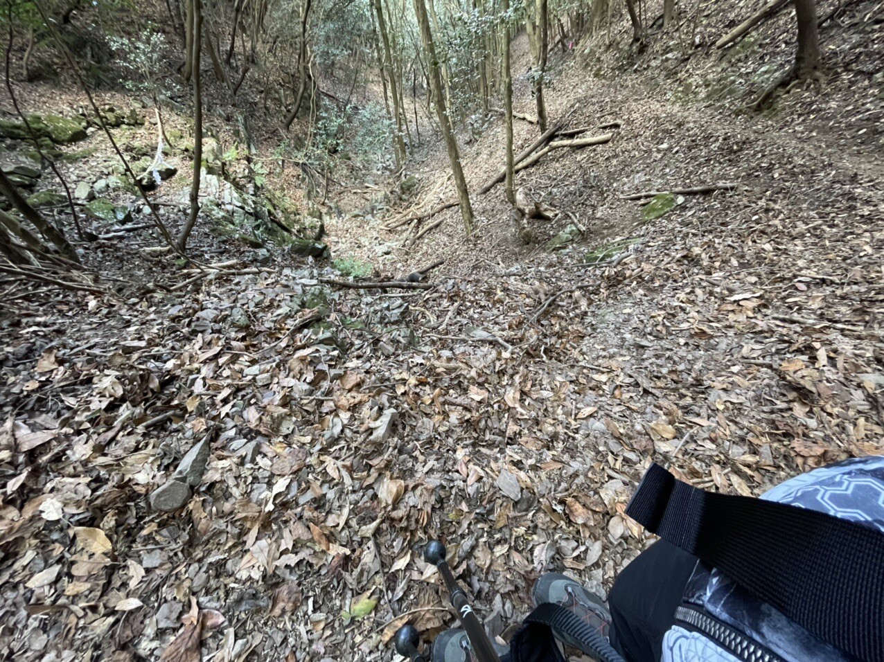 YS-153さんの投稿したフィールドメモ | YAMAP / ヤマップ