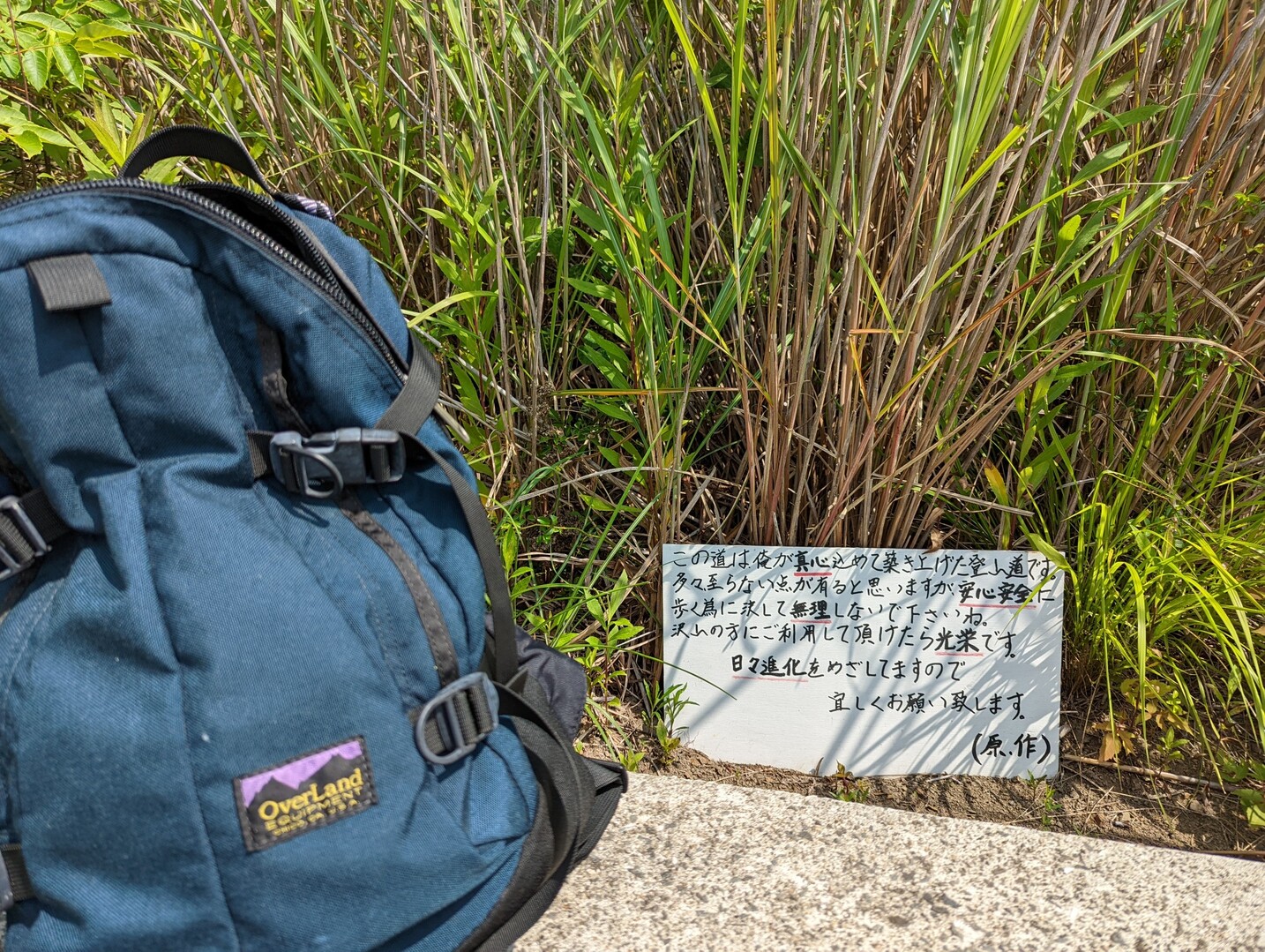 2022-06-19 原さんの開拓した道を歩く! / はんちゃんさんの高森山・四国山・学文字山の活動データ | YAMAP / ヤマップ