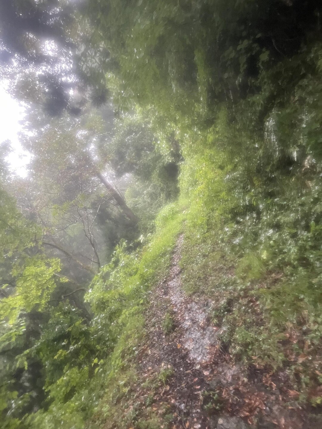 西山2山 / tkhsh.ktさんの菩提寺山・高立山・護摩堂山の活動データ | YAMAP / ヤマップ