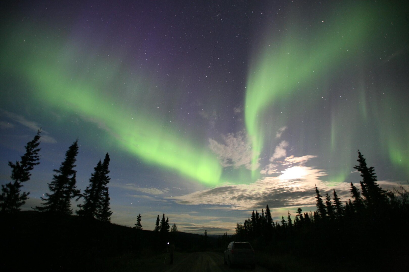 2016年8月、フェアバンクスから北に6... / KAZUさんのモーメント | YAMAP / ヤマップ