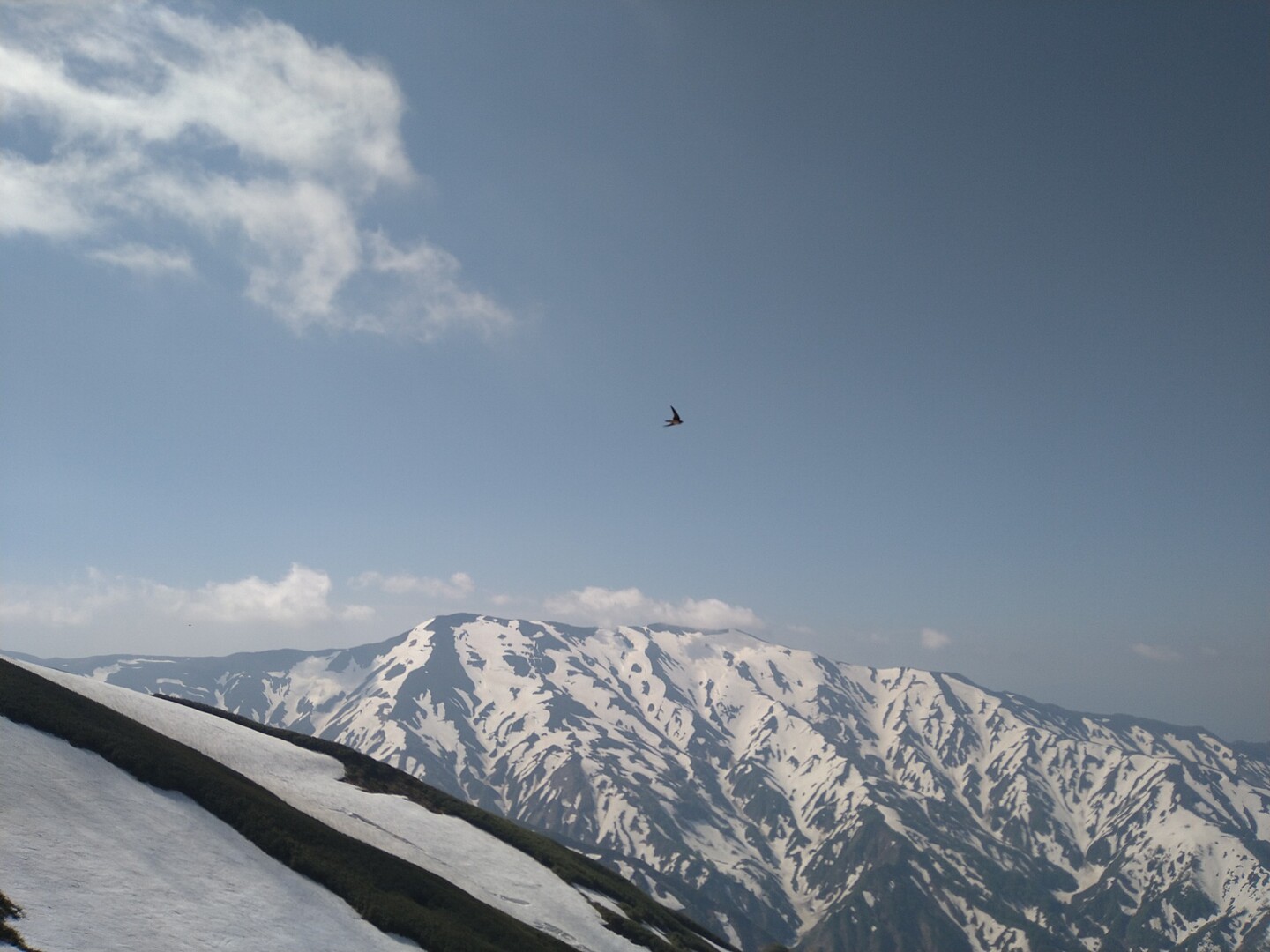 飯豊連峰 石転び沢（倉手山登山口からピストン） / ao_hachiさんの飯豊山・大日岳・御西岳の活動データ | YAMAP / ヤマップ