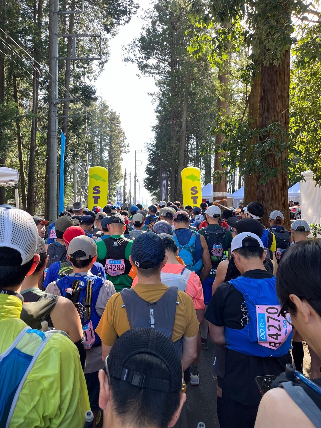 【DNF】ハセツネ30k / masapapa さんの大岳山・御岳山・御前山の活動データ | YAMAP / ヤマップ
