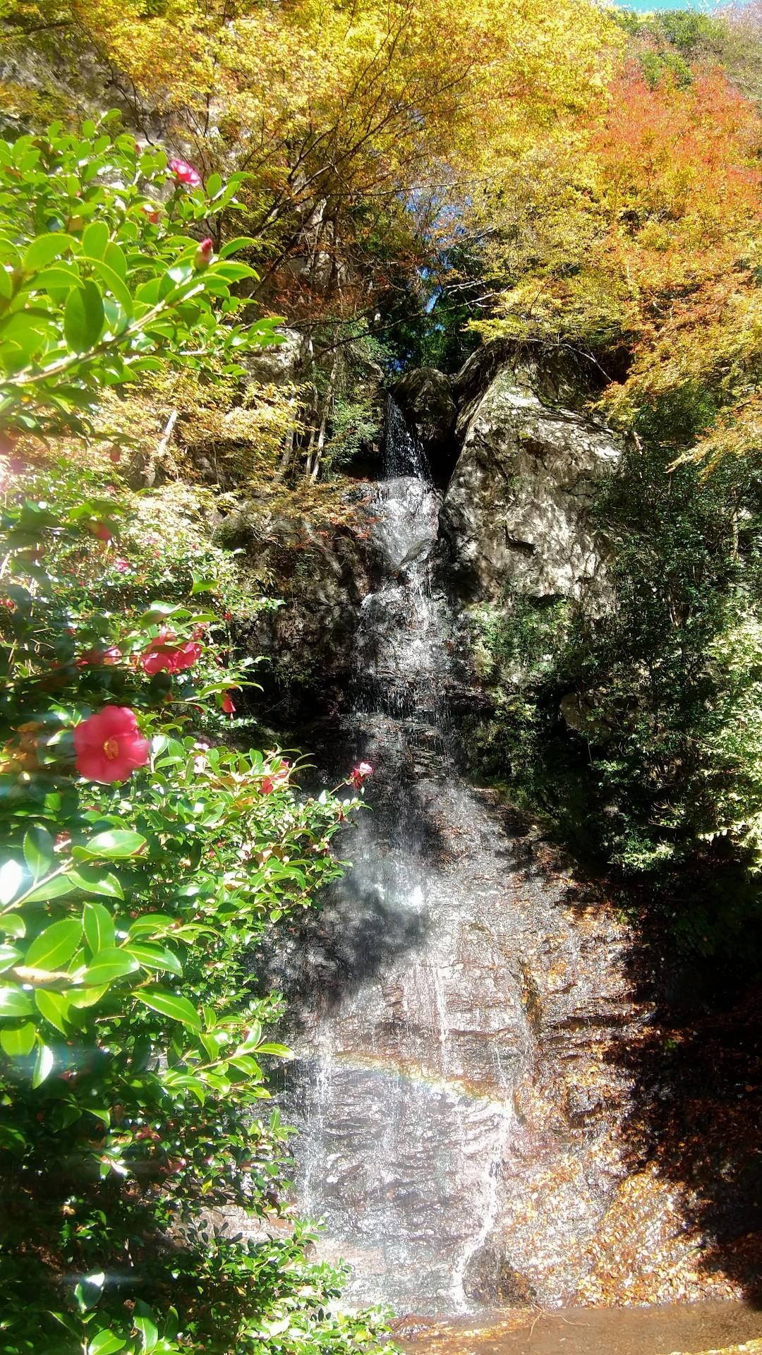 雨包山-11/11に1111mの山に行く / うさこさんのウォーキングの活動データ | YAMAP / ヤマップ