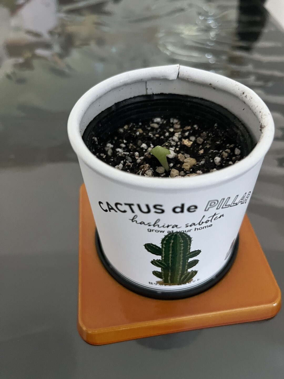 なかなか大きくなりませんなぁ〜😞 / はるはるさんのモーメント | YAMAP / ヤマップ