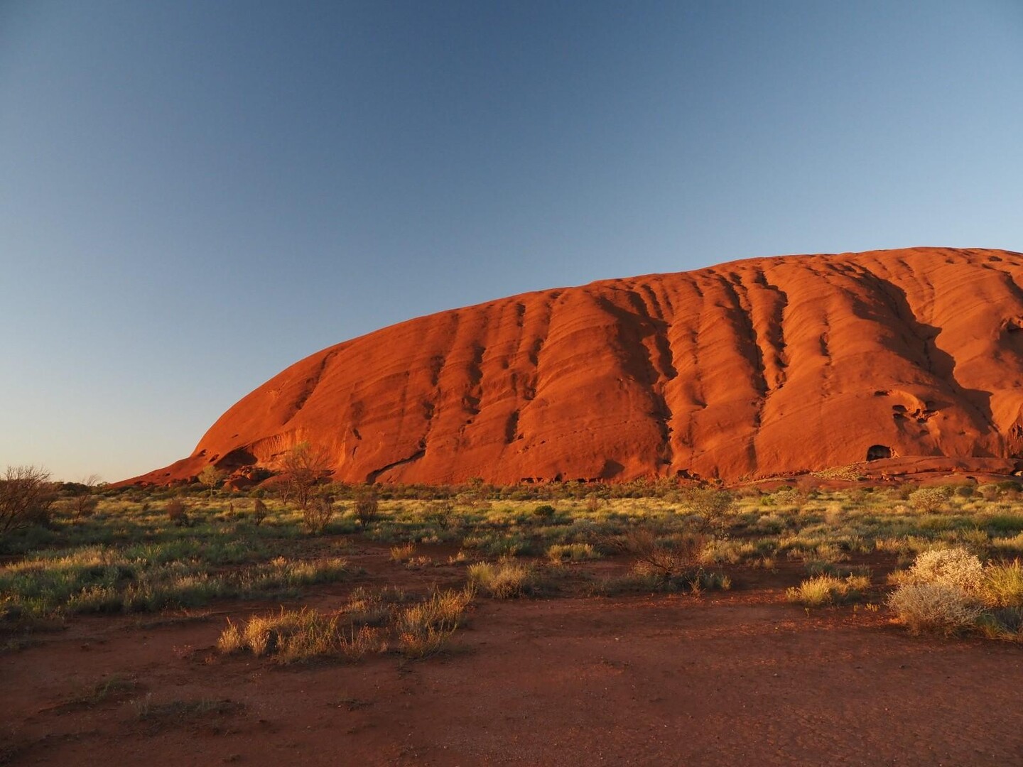 ウルル・ベースウォーク / samiさんのウォーキングの活動データ | YAMAP / ヤマップ