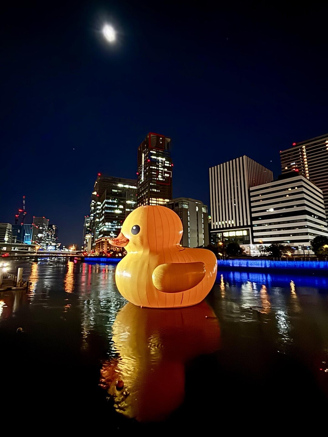 #推しの入山メシ 活動日記 https:... / Lacbleuさんのモーメント | YAMAP / ヤマップ