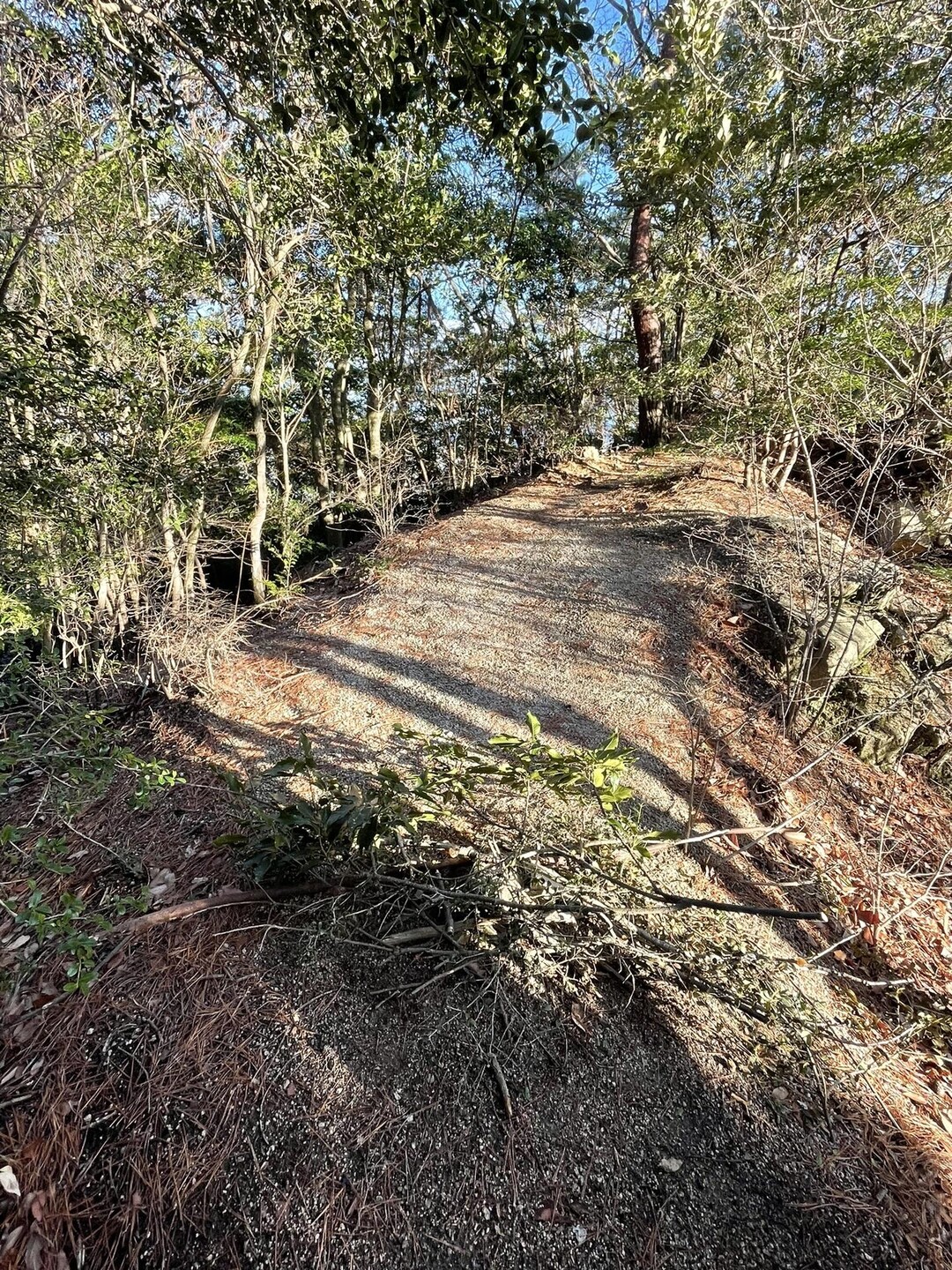 Rinさんの投稿したフィールドメモ | YAMAP / ヤマップ