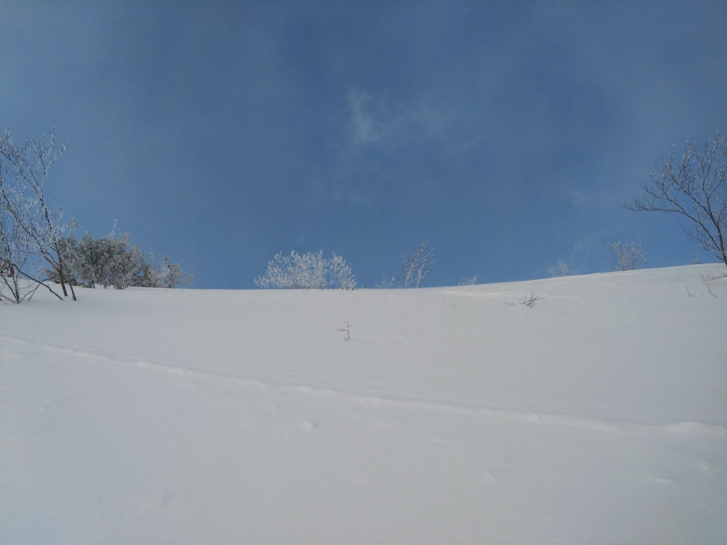 強風のため撤退😢谷川岳🏔 / ma-mamaさんの谷川岳・七ツ小屋山・大源太山の活動データ | YAMAP / ヤマップ