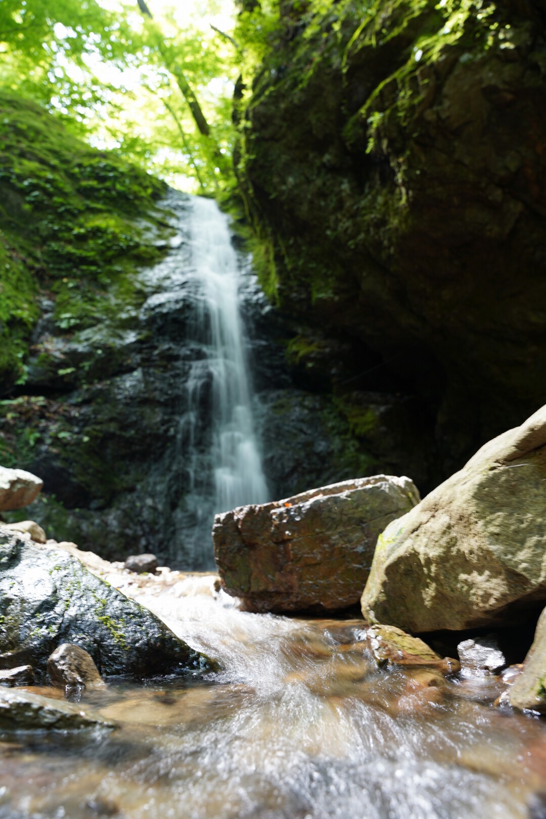 御岳山 / MRIさんの大岳山・御岳山・御前山の活動データ | YAMAP / ヤマップ