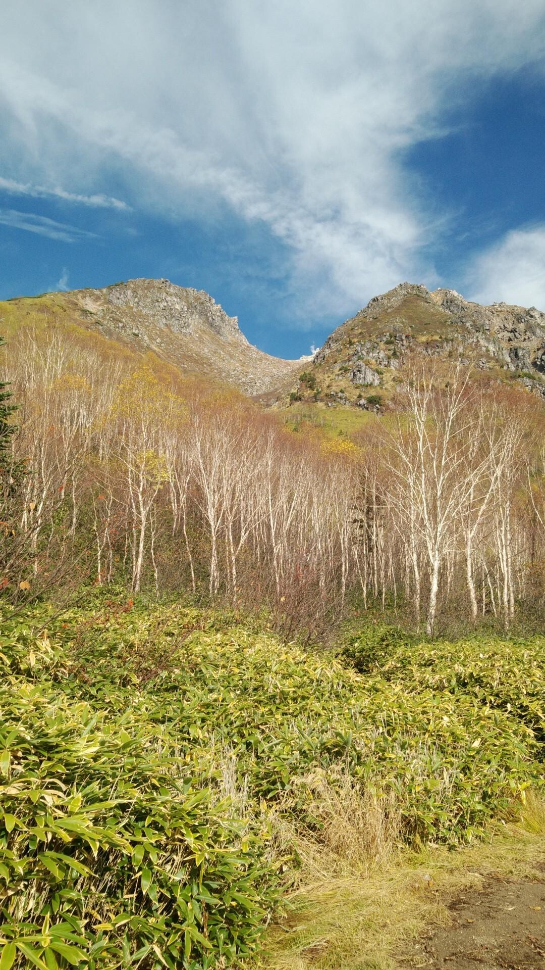 焼岳（北峰） / tanさんの槍ヶ岳・穂高岳・上高地の活動データ | YAMAP / ヤマップ