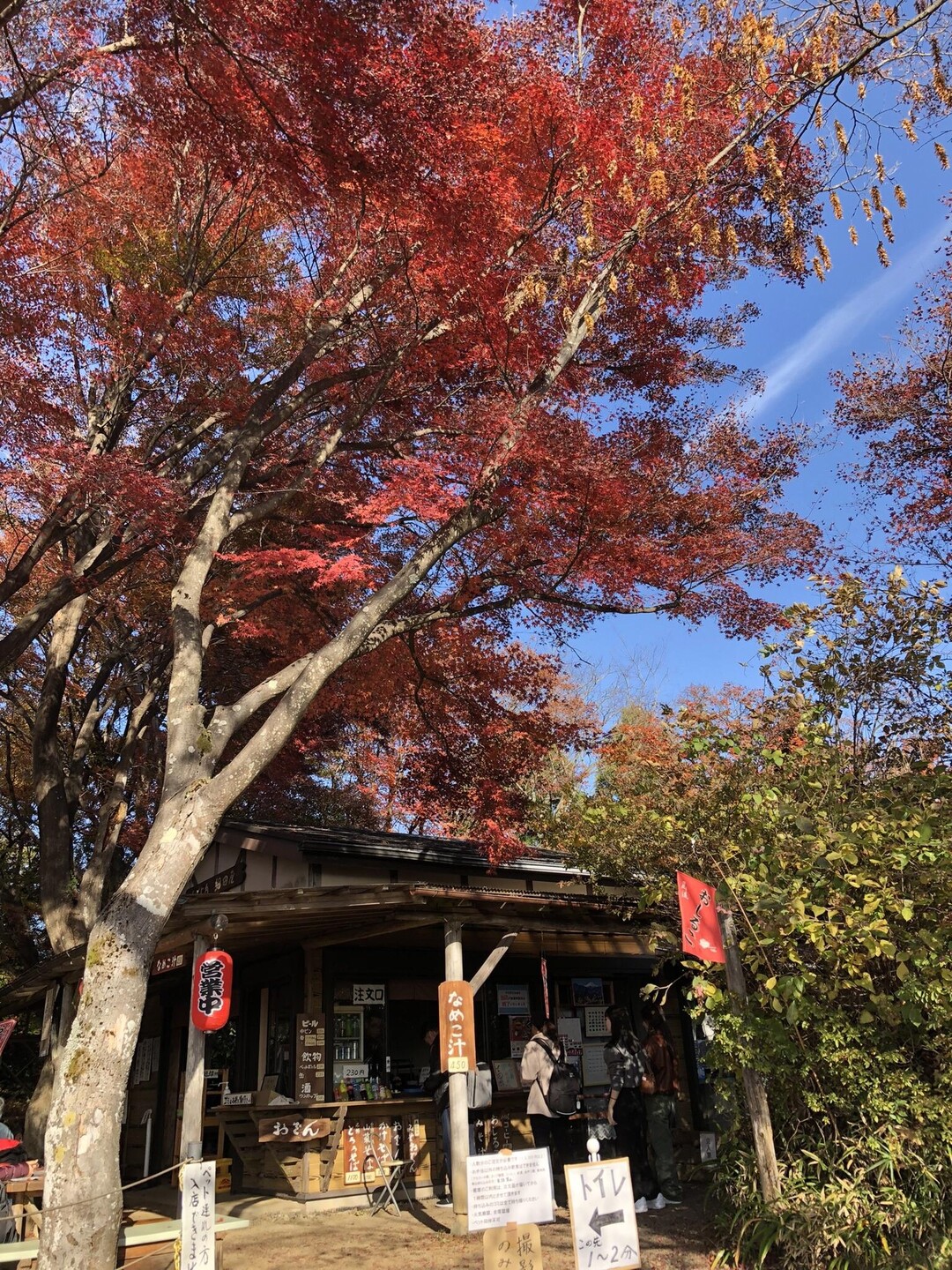 紅葉の高尾山 / Marsさんの高尾山・陣馬山・景信山の活動データ | YAMAP / ヤマップ