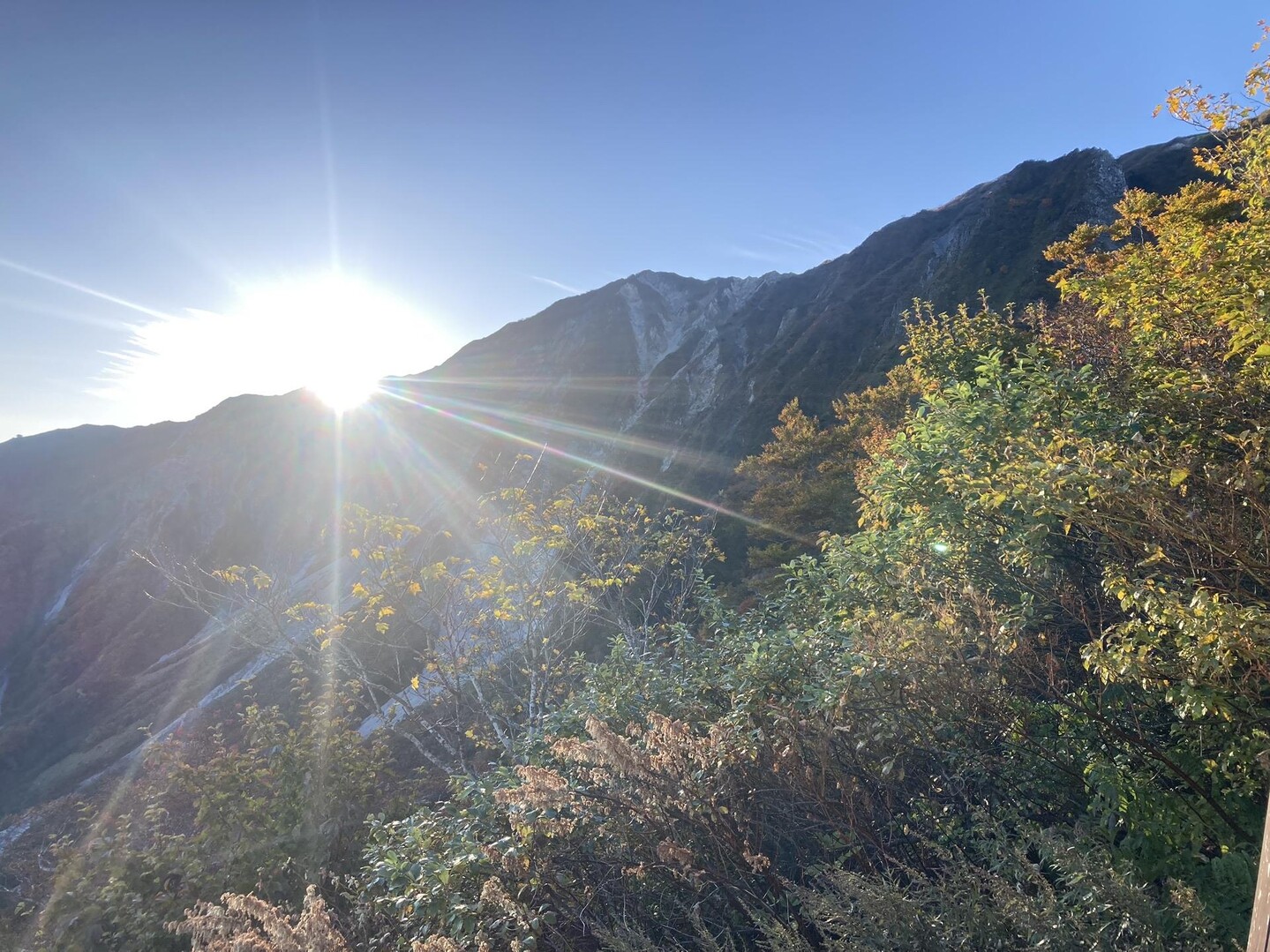 大山（弥山）・宝珠山プチ周回 / akimetalさんの大山・甲ヶ山・野田ヶ山の活動データ | YAMAP / ヤマップ