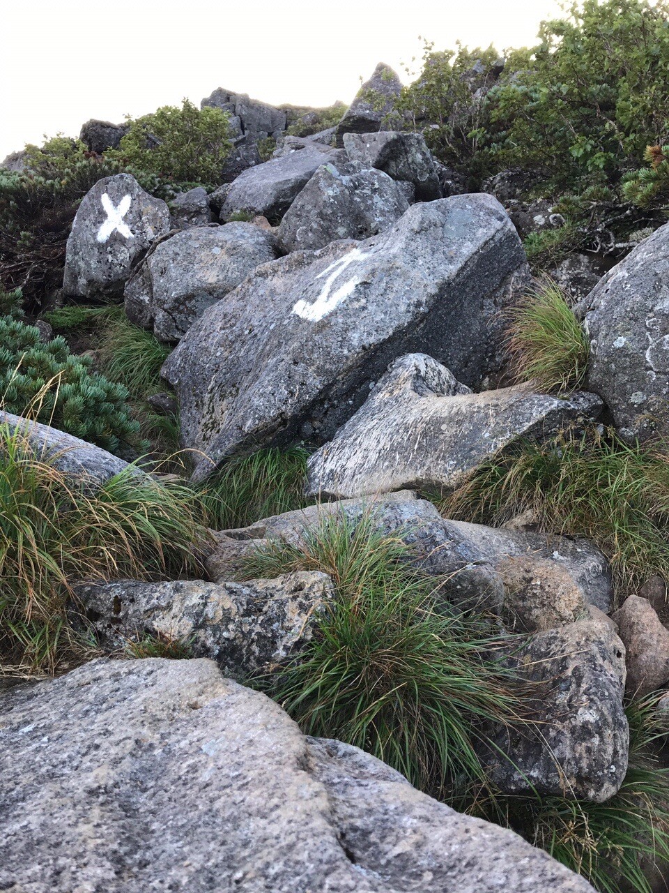 たけぞうさんの投稿したフィールドメモ | YAMAP / ヤマップ