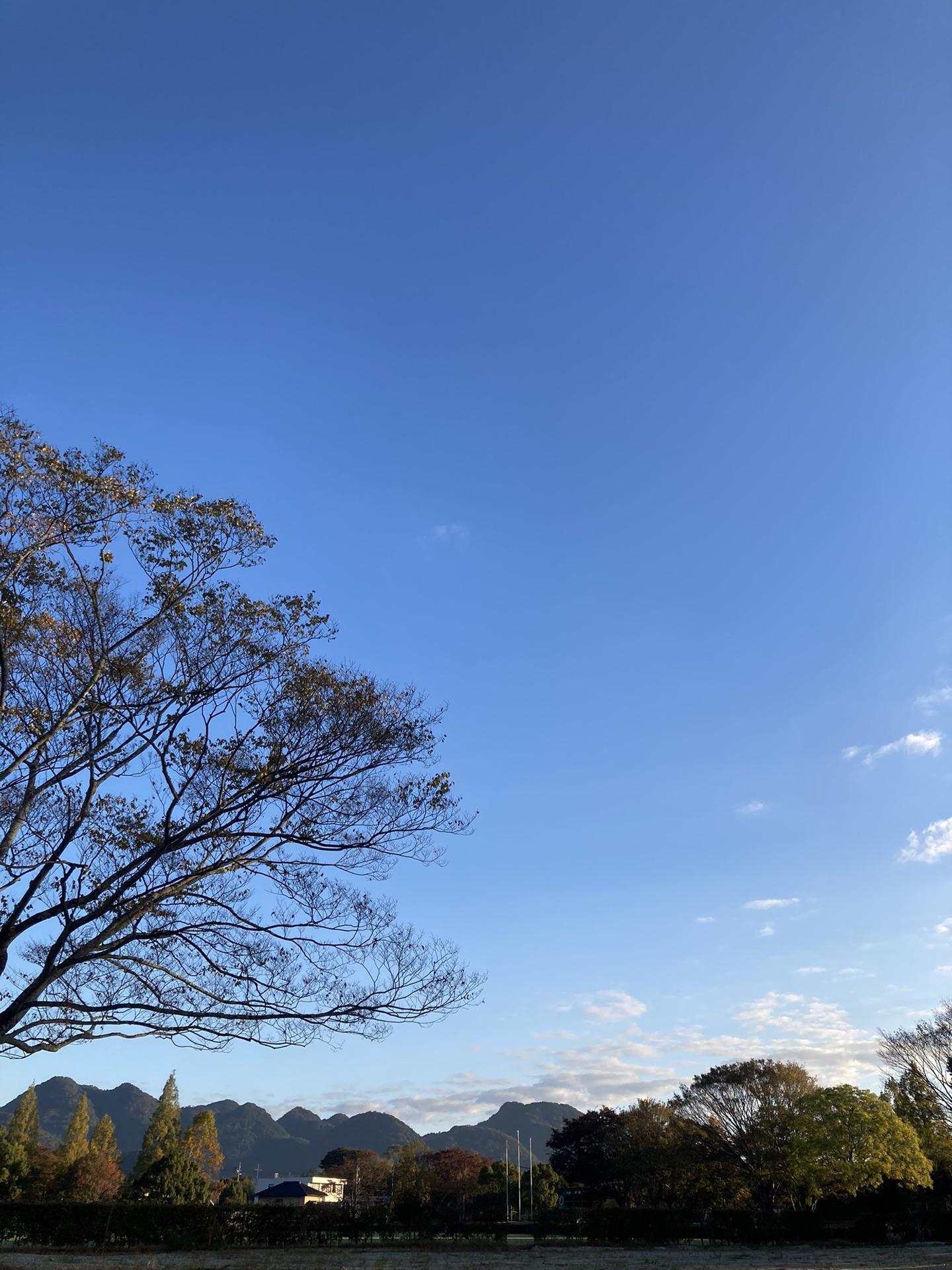 ランニング-2023-10-30 / K2さんのランニングの活動データ | YAMAP / ヤマップ