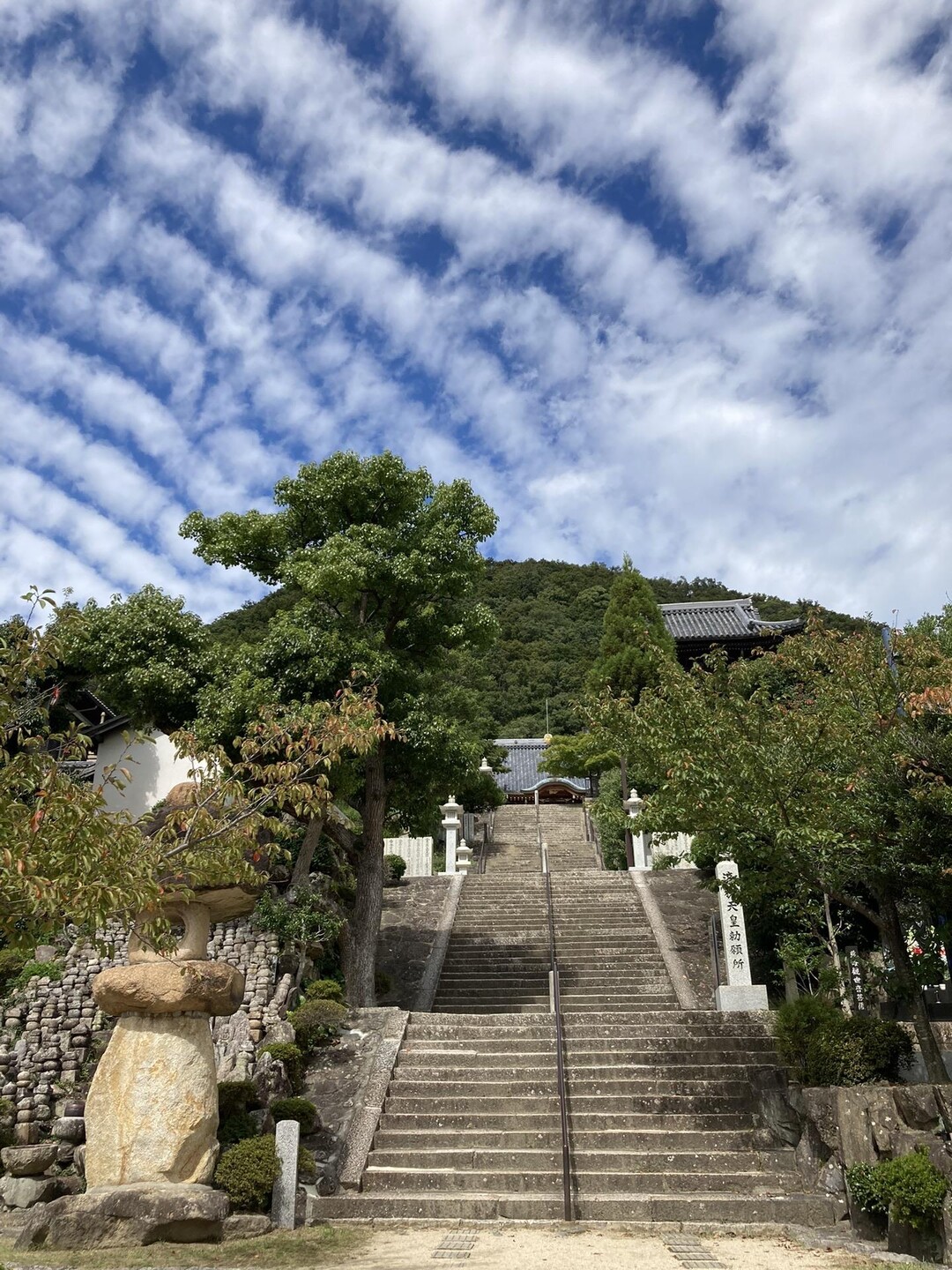 そんなに急いで甲山（ソロ）😊 / a_ya_あやさんの六甲山・長峰山・摩耶山の活動データ | YAMAP / ヤマップ