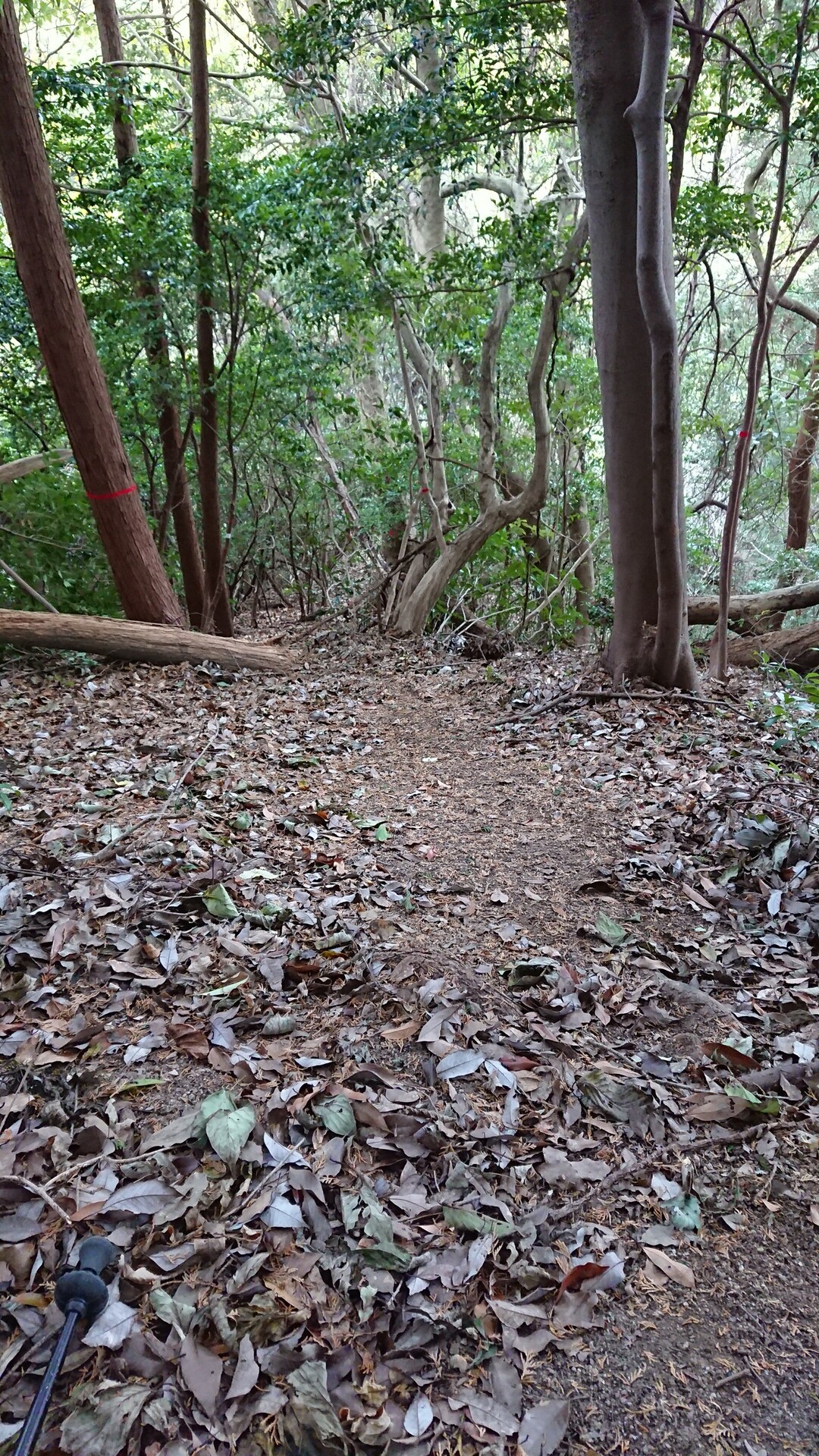 やまGさんの投稿したフィールドメモ | YAMAP / ヤマップ