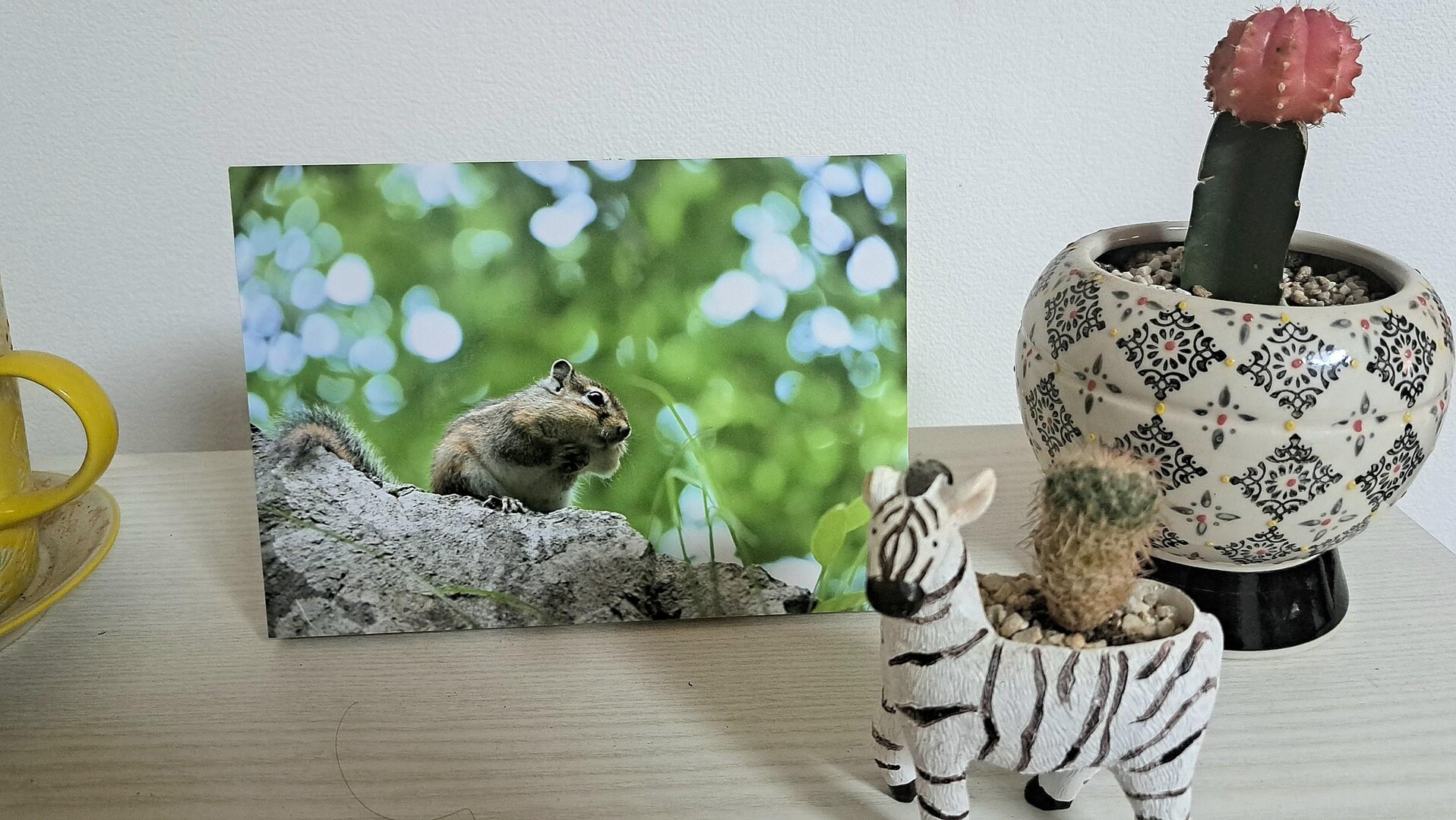 きゃわいすぎるカレンダーをいただきました... / ch!saさんのモーメント | YAMAP / ヤマップ