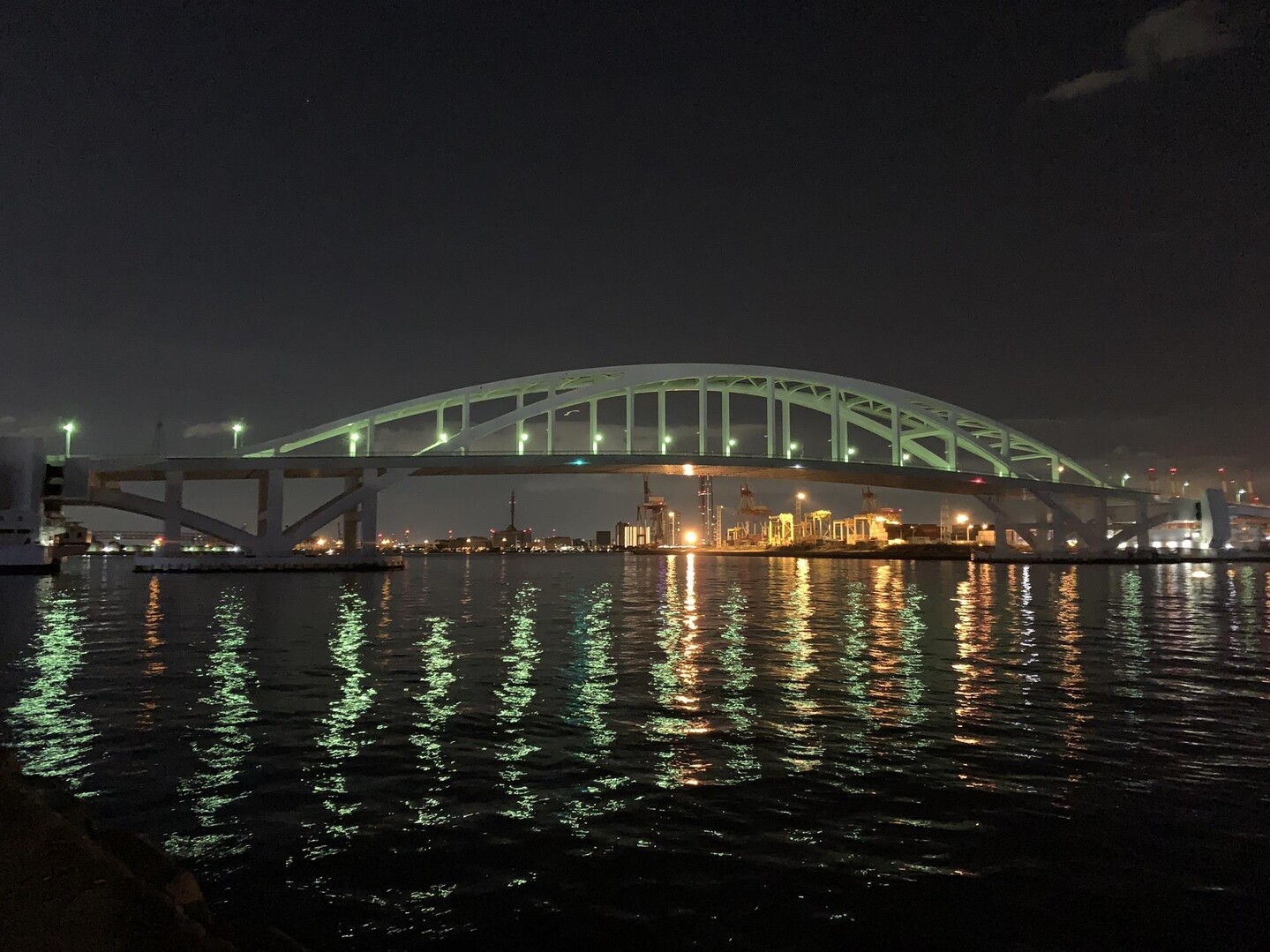 大阪 舞洲 よるさんぽ🐕 / ta614さんのウォーキングの活動データ | YAMAP / ヤマップ