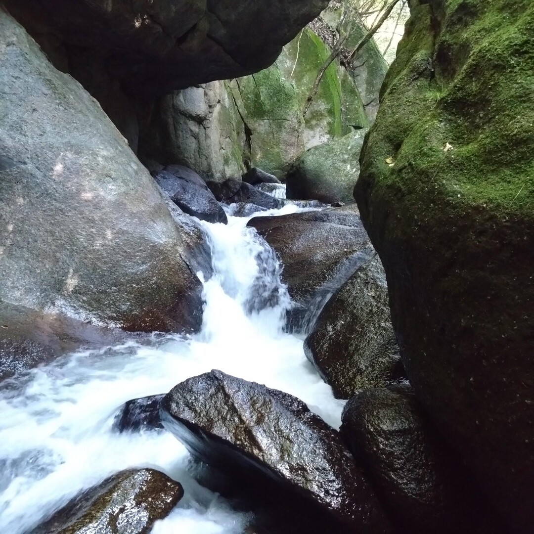 王滝渓谷 / Minoruさんの六所山・炮烙山の活動データ | YAMAP / ヤマップ