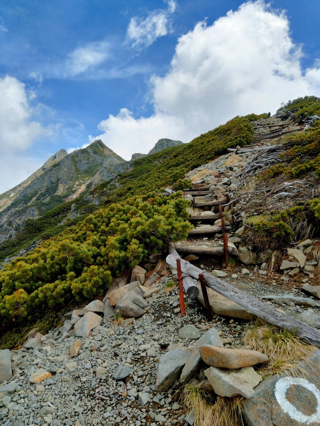 2泊3日北アルプス ③上高地ルート〜西穂丸山・西穂独標 / RINAさんの槍ヶ岳・穂高岳・上高地の活動データ | YAMAP / ヤマップ