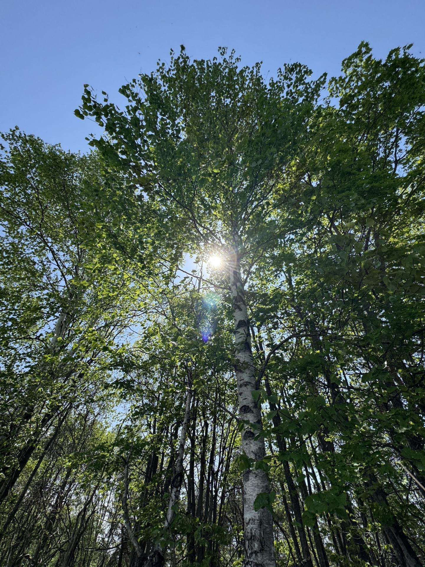 旭山 / HIRO-K2さんの旭山の活動データ | YAMAP / ヤマップ