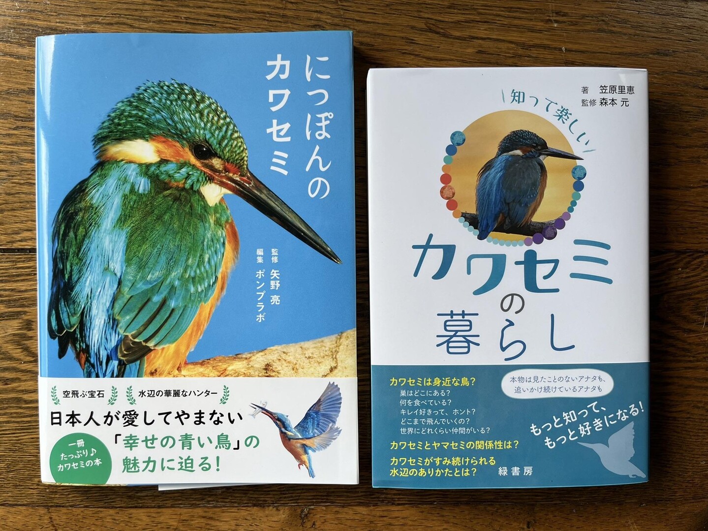 カワセミ愛でいっぱいのlalaです。 私... / lalaさんのモーメント | YAMAP / ヤマップ