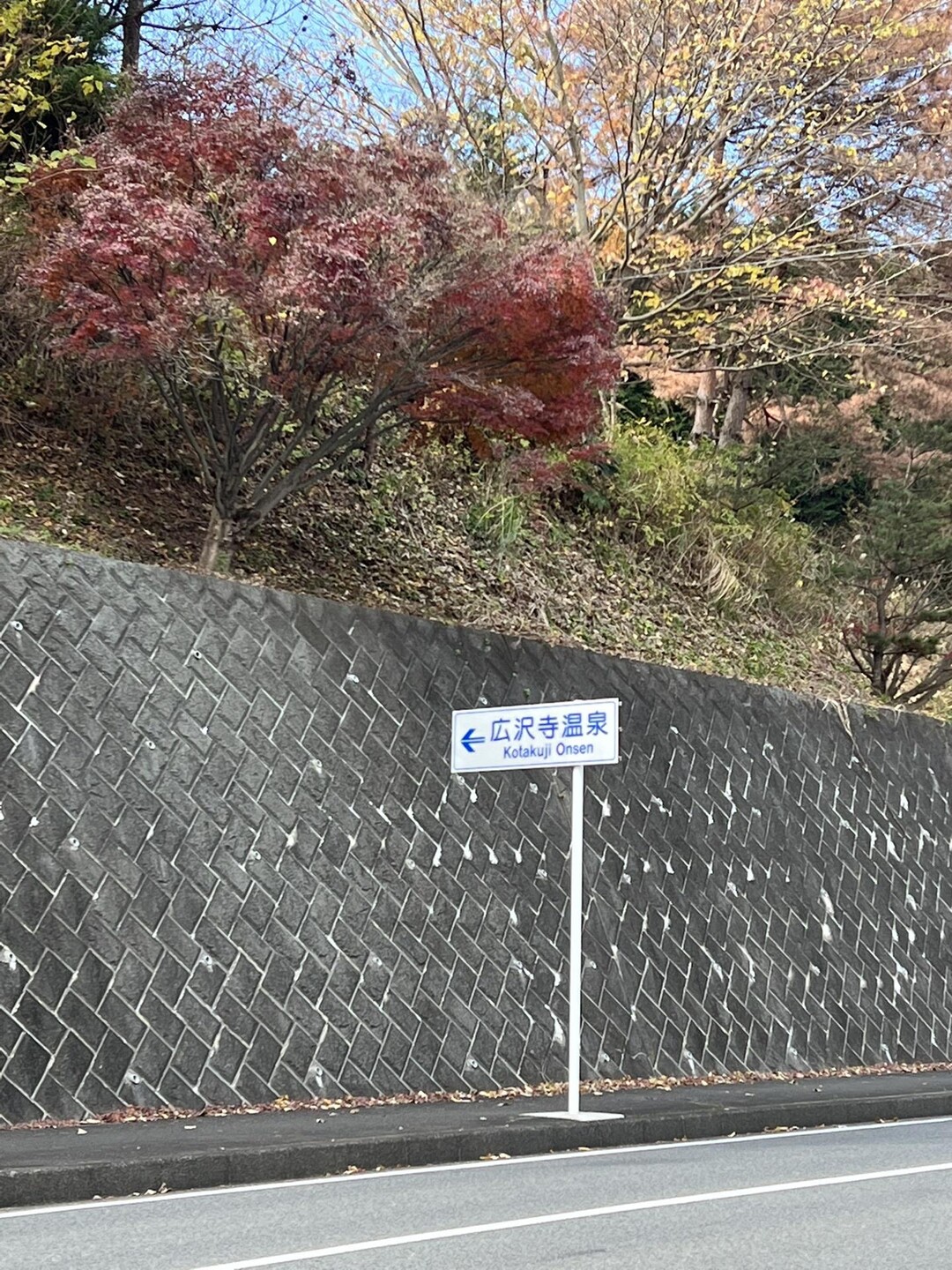 鐘ヶ嶽 / Taraさんの大山の活動データ | YAMAP / ヤマップ