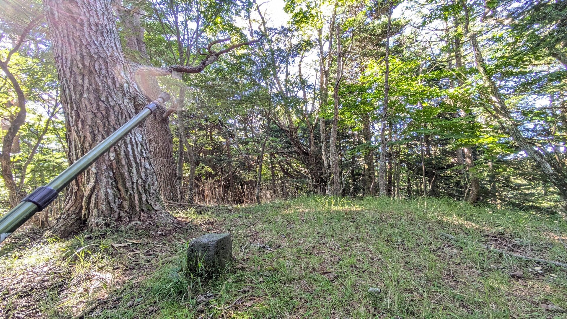 ko usさんの投稿したフィールドメモ | YAMAP / ヤマップ