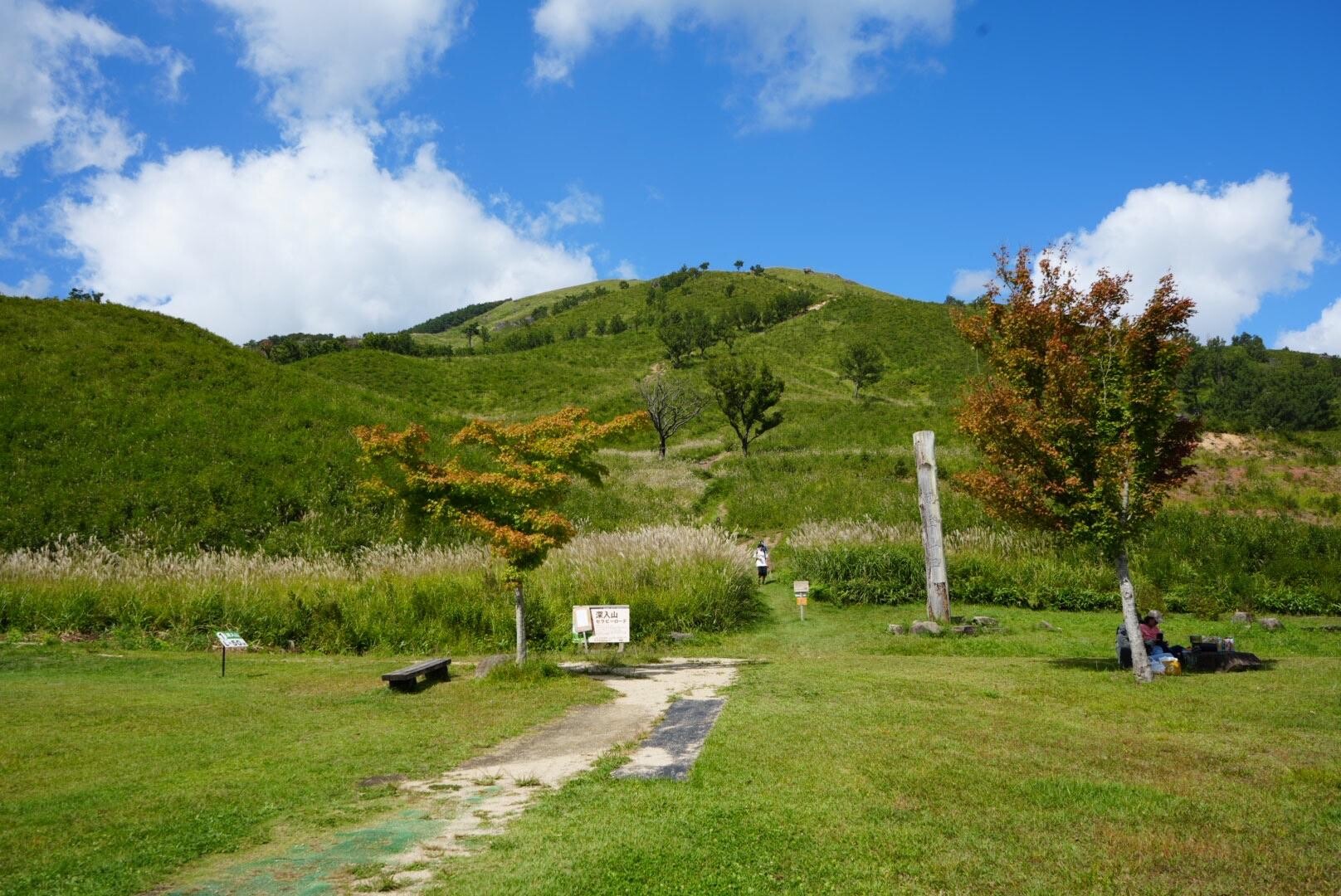 秋の気配漂う深入山へ / yo-jiさんの深入山の活動データ | YAMAP / ヤマップ