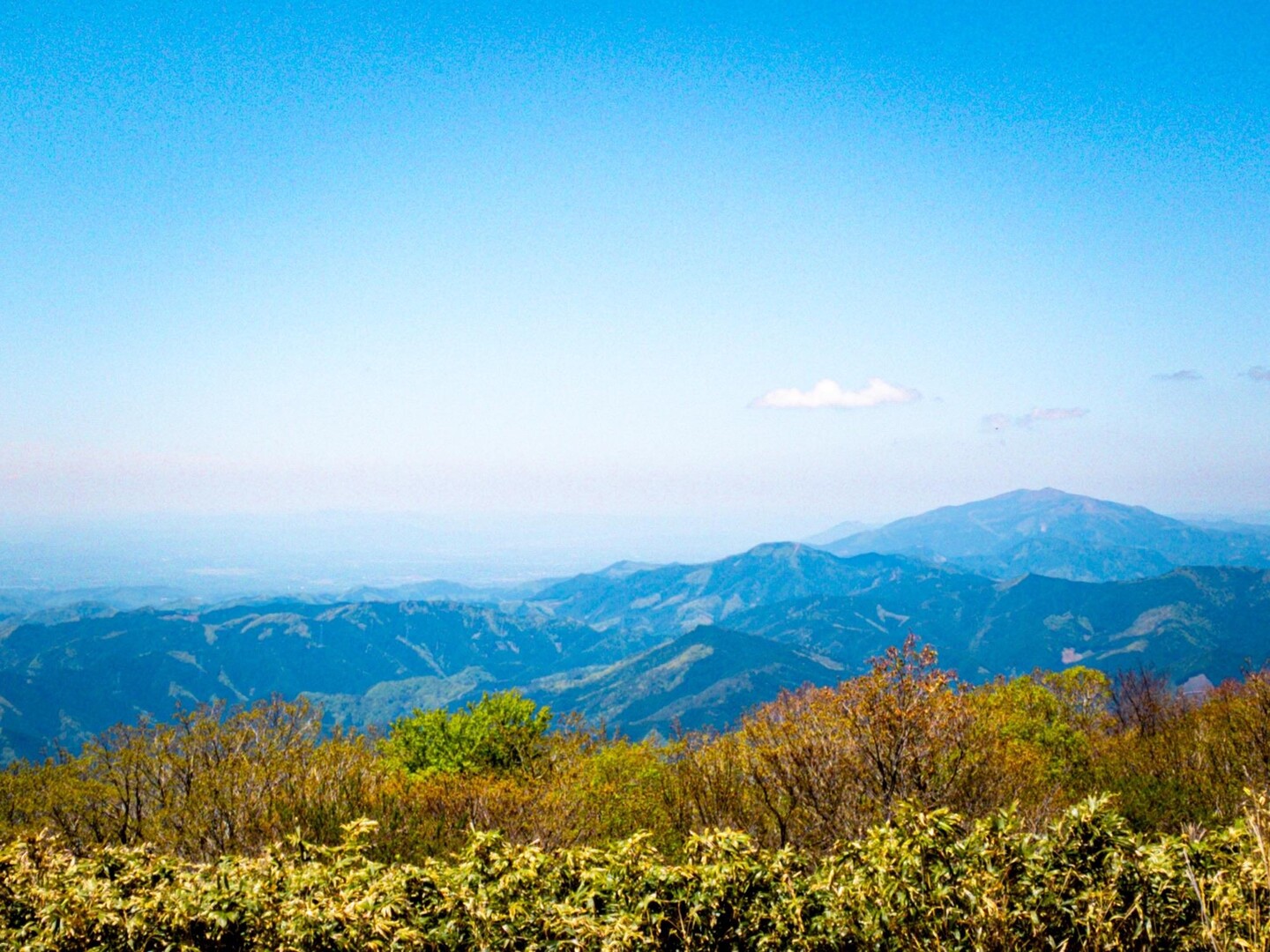 駒の尾山・大海里山・ダルガ峰 / okinjoさんの沖ノ山・若杉原生林（若杉天然林）の活動データ | YAMAP / ヤマップ