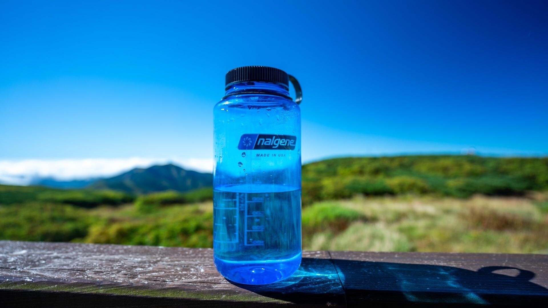 白山（御前峰）⛰ / 51-GOGOさんの白山・別山・銚子ヶ峰の活動データ | YAMAP / ヤマップ