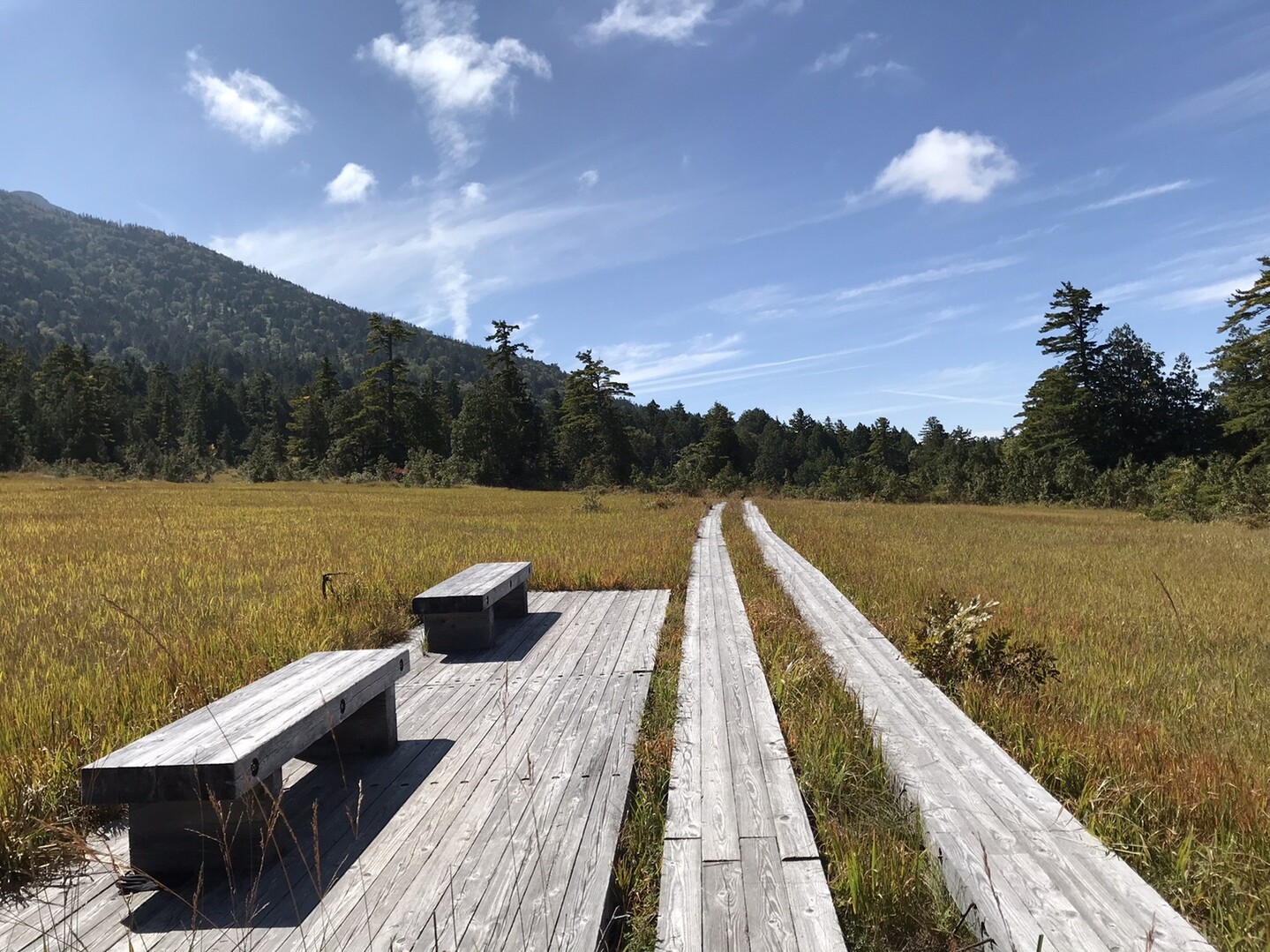 尾瀬2泊3日 気ままにテント泊 / momoさんの尾瀬・燧ヶ岳の活動データ | YAMAP / ヤマップ