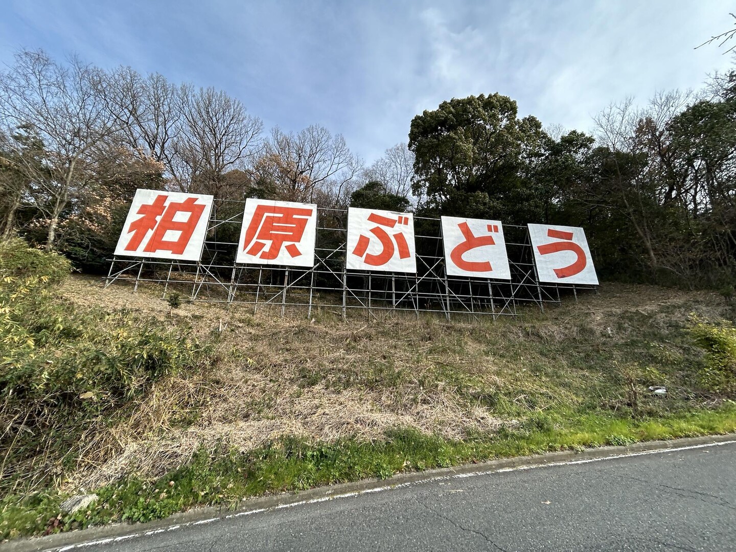 TTT 生駒全山 / Rikuさんの生駒山・神津嶽・大原山の活動データ | YAMAP / ヤマップ